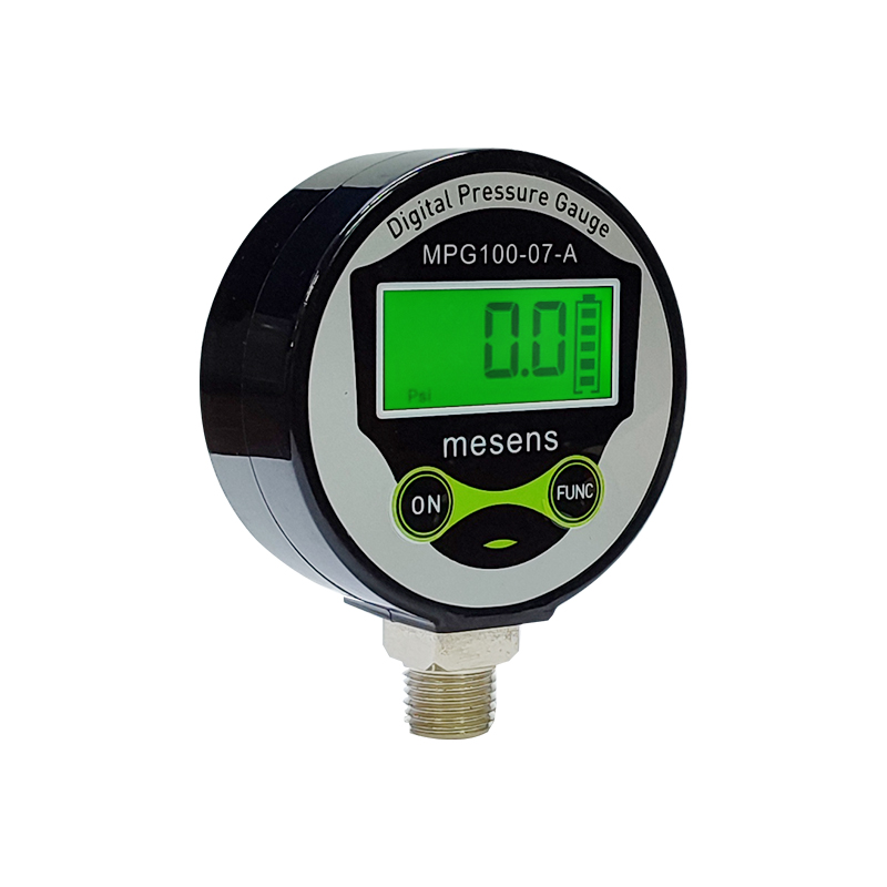 Digital Pressure Gauges